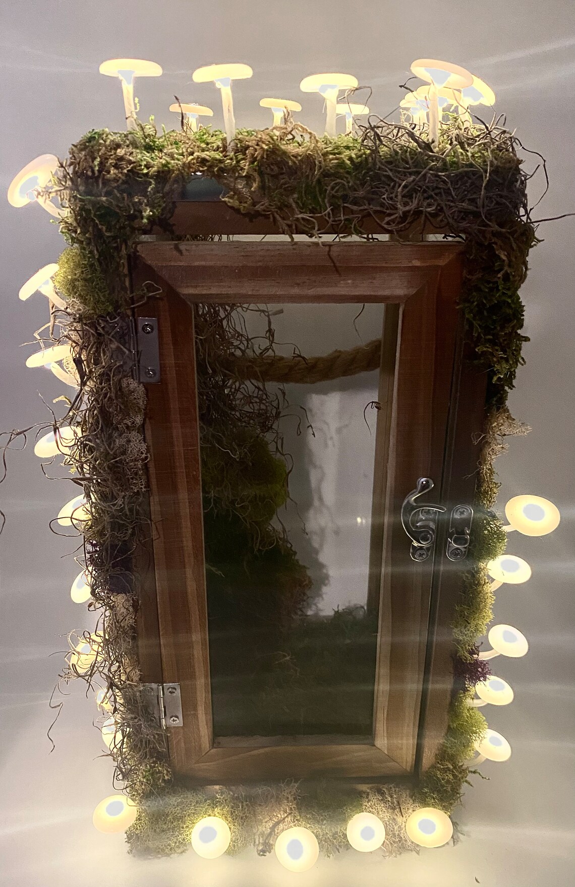 Mushroom Display With Light up Mushrooms - Etsy