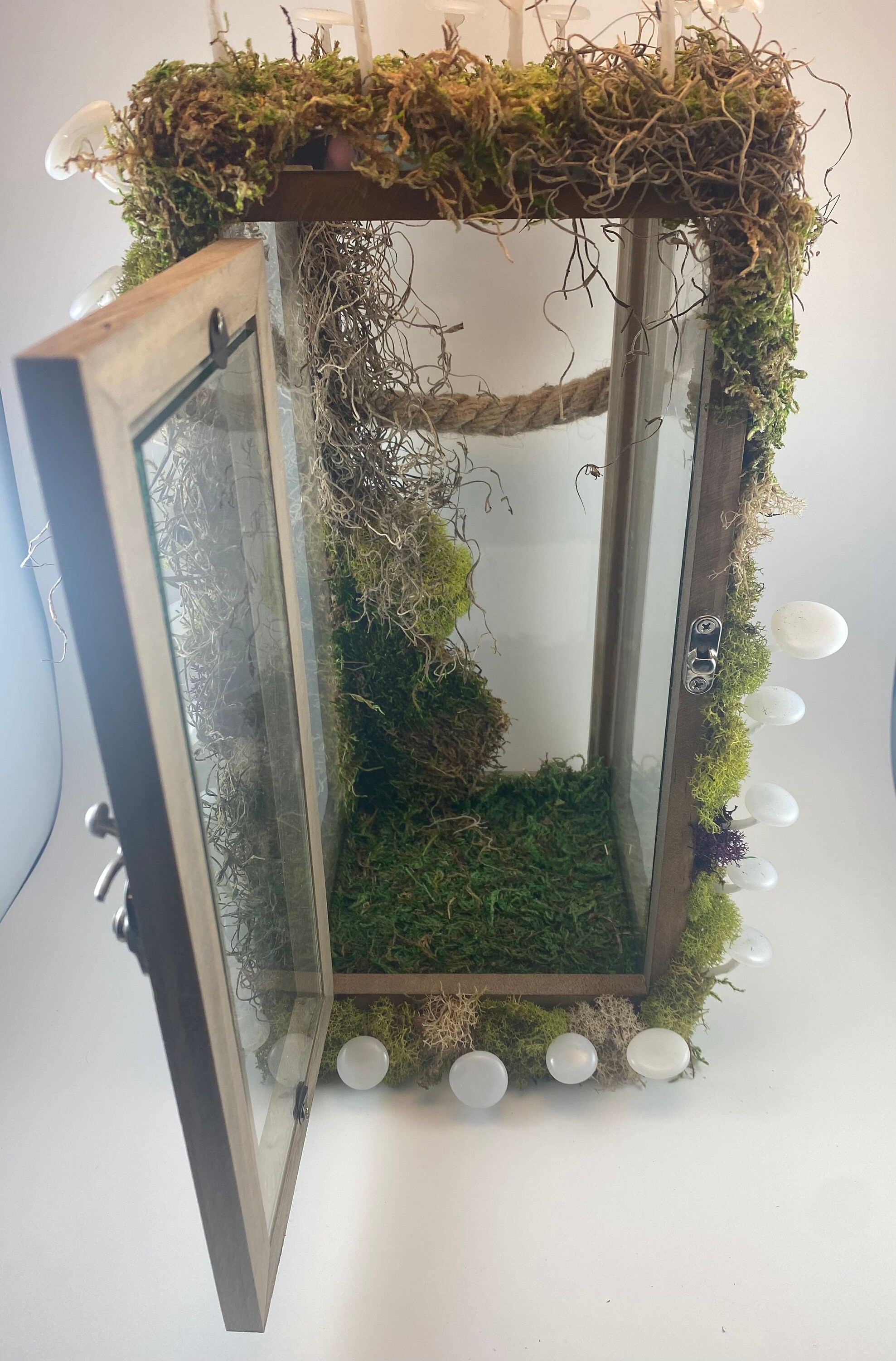 Mushroom Display With Light up Mushrooms - Etsy