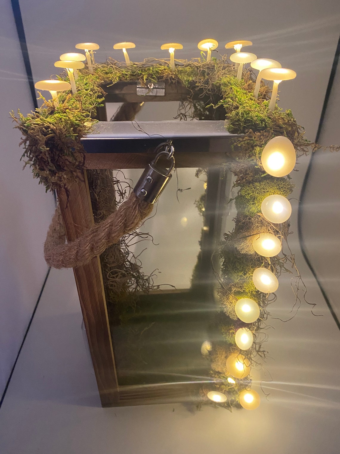 Mushroom Display With Light up Mushrooms - Etsy
