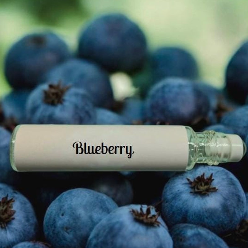 Blueberry Perfume - Etsy
