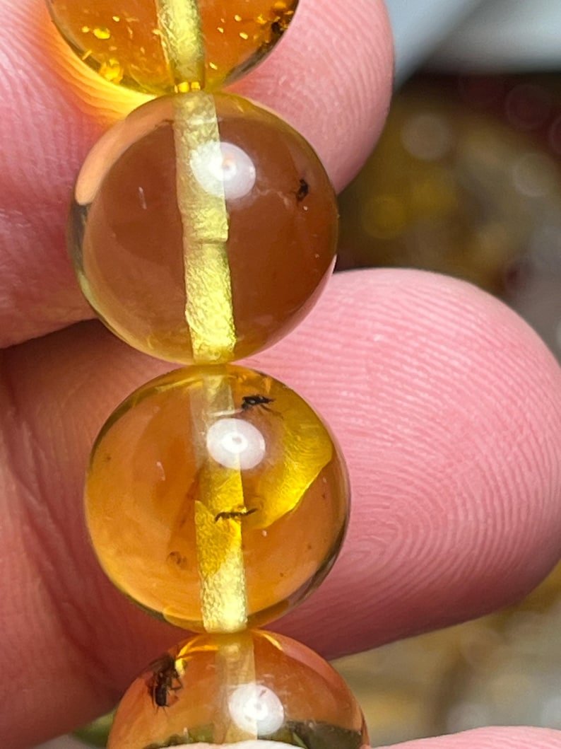 Amber Bracelet With Insects, 11.7mm - Etsy