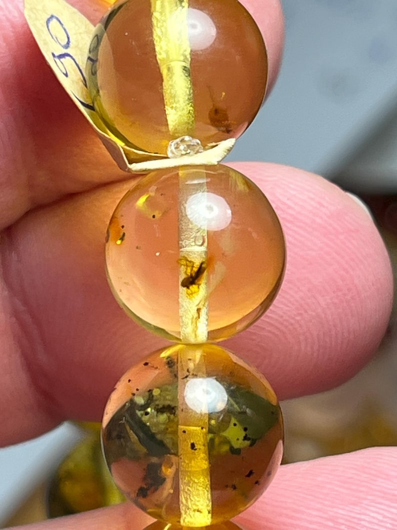Amber Bracelet With Insects, 11.7mm - Etsy