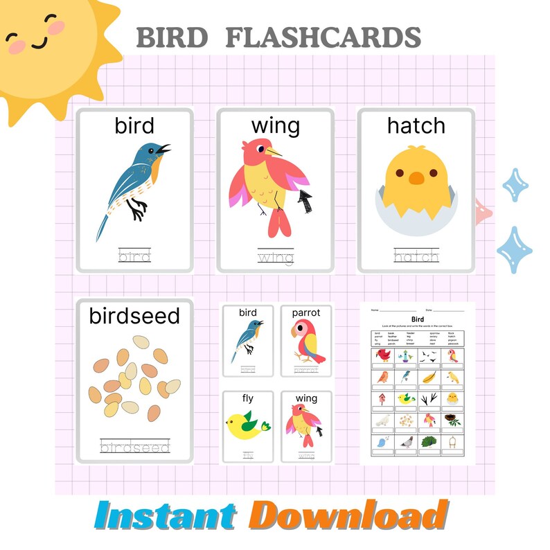 Printable Flashcards About Bird, 20 Words Cards, Tracing Word - Etsy