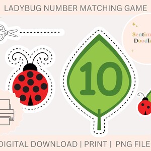 Number Matching Ladybug Game 0-10, Early Math, Number Recognition, EYFS ...