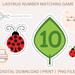 Number Matching Ladybug Game 0-10, Early Math, Number Recognition, EYFS ...