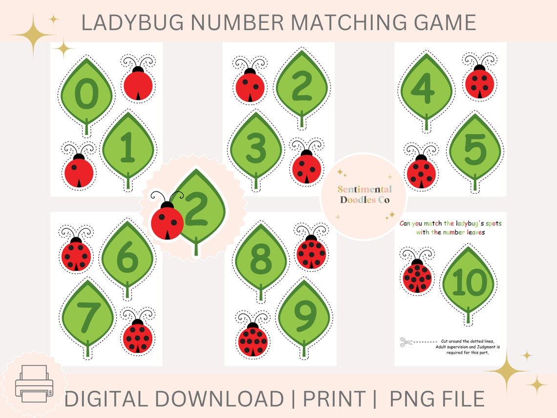 Number Matching Ladybug Game 0-10, Early Math, Number Recognition, EYFS ...
