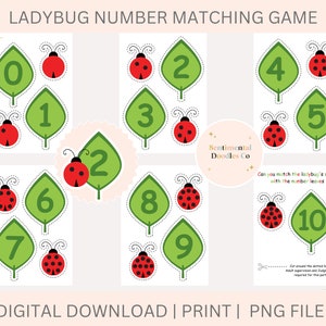 Number Matching Ladybug Game 0-10, Early Math, Number Recognition, EYFS ...