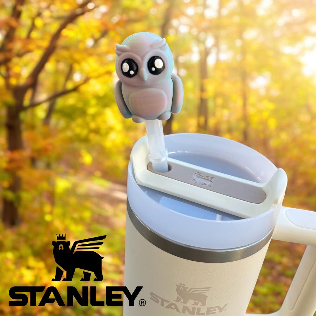 Darling Baby Owl Straw Topper for Stanley Cup, Fits 30z and 40oz ...