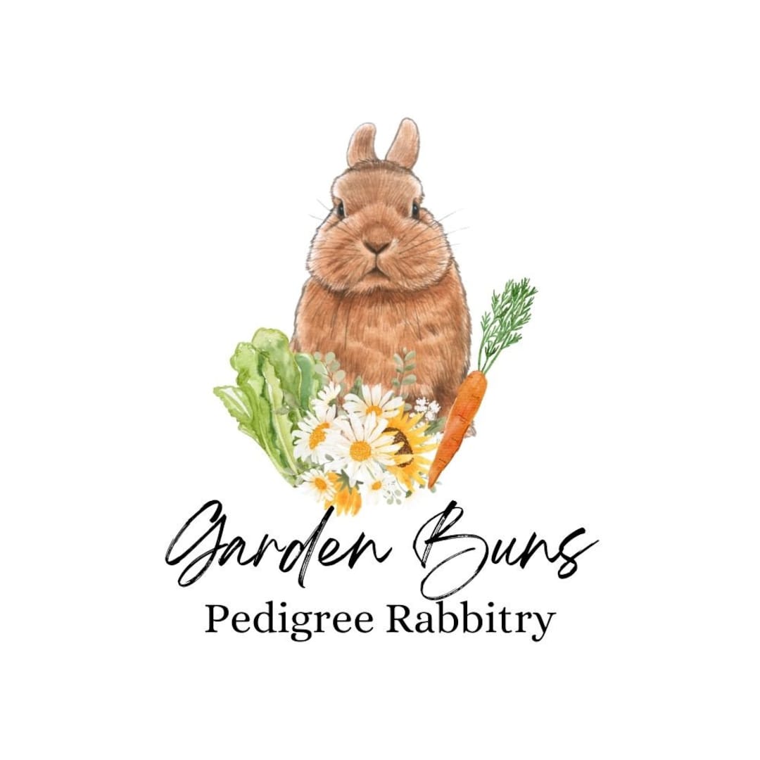 Bunny Rabbit Logo | Premade Logo | Homestead Logo | Watercolor Barn ...