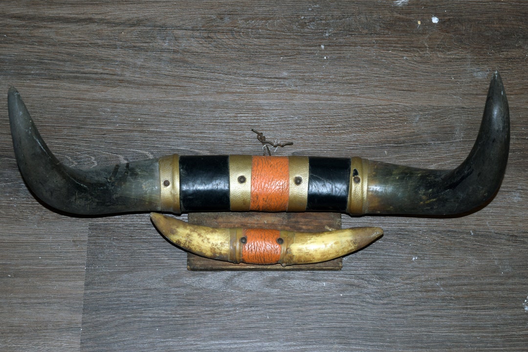 Rare Vintage Authentic Dark Steer Bull Horns Mount 23 - Etsy