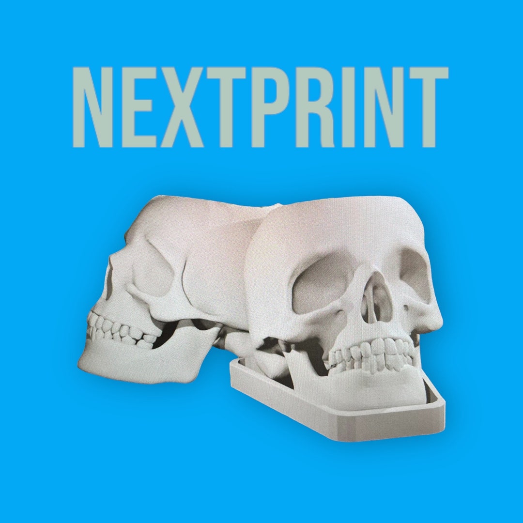 Human Skull Flower Pot, 3D PLA Sculpture Customizable Gift - Etsy