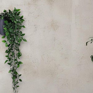 Sphere Wall Hanging Real Plant Pot | Round Hanging Planter | Circle ...