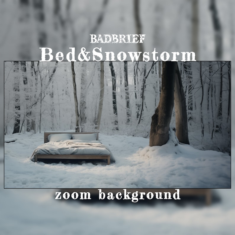 Original Snow Zoom Background 5 Teams Skype Meet Zoom / Snowy Forest ...