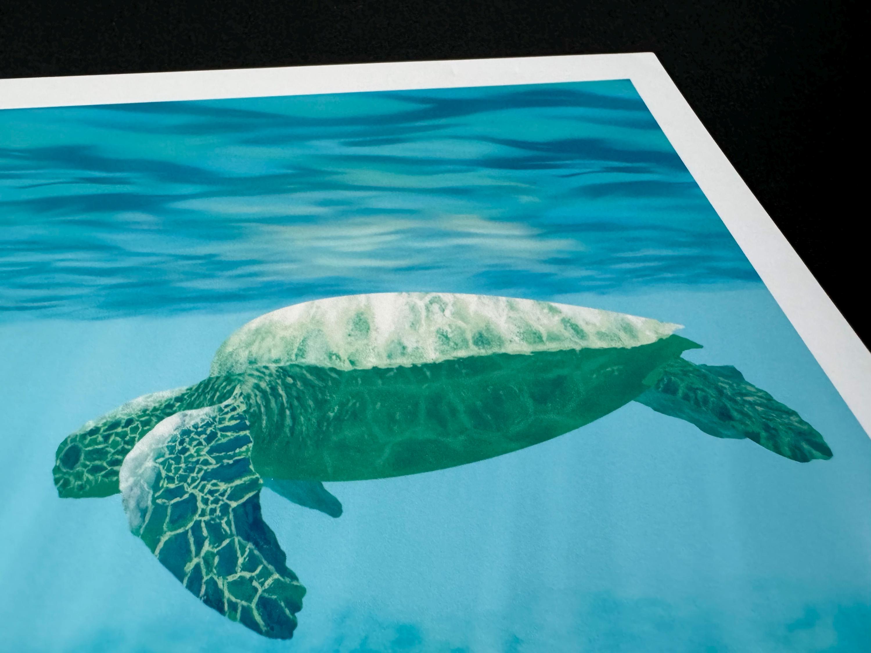 HAWAIIAN SEA TURTLES Art Print Oahu Hawaii Realistic Underwater Ocean ...