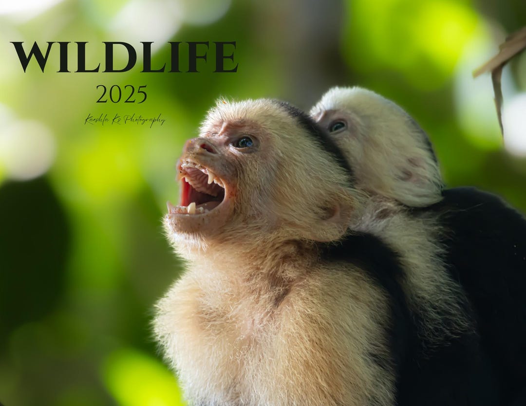 2025 Wildlife Wall Calendars - Etsy