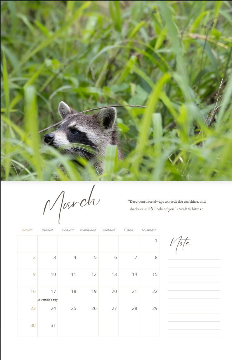 2025 Wildlife Wall Calendars - Etsy