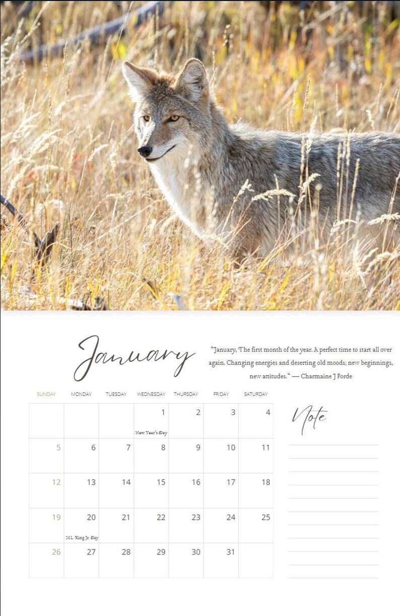 2025 Wildlife Wall Calendars - Etsy