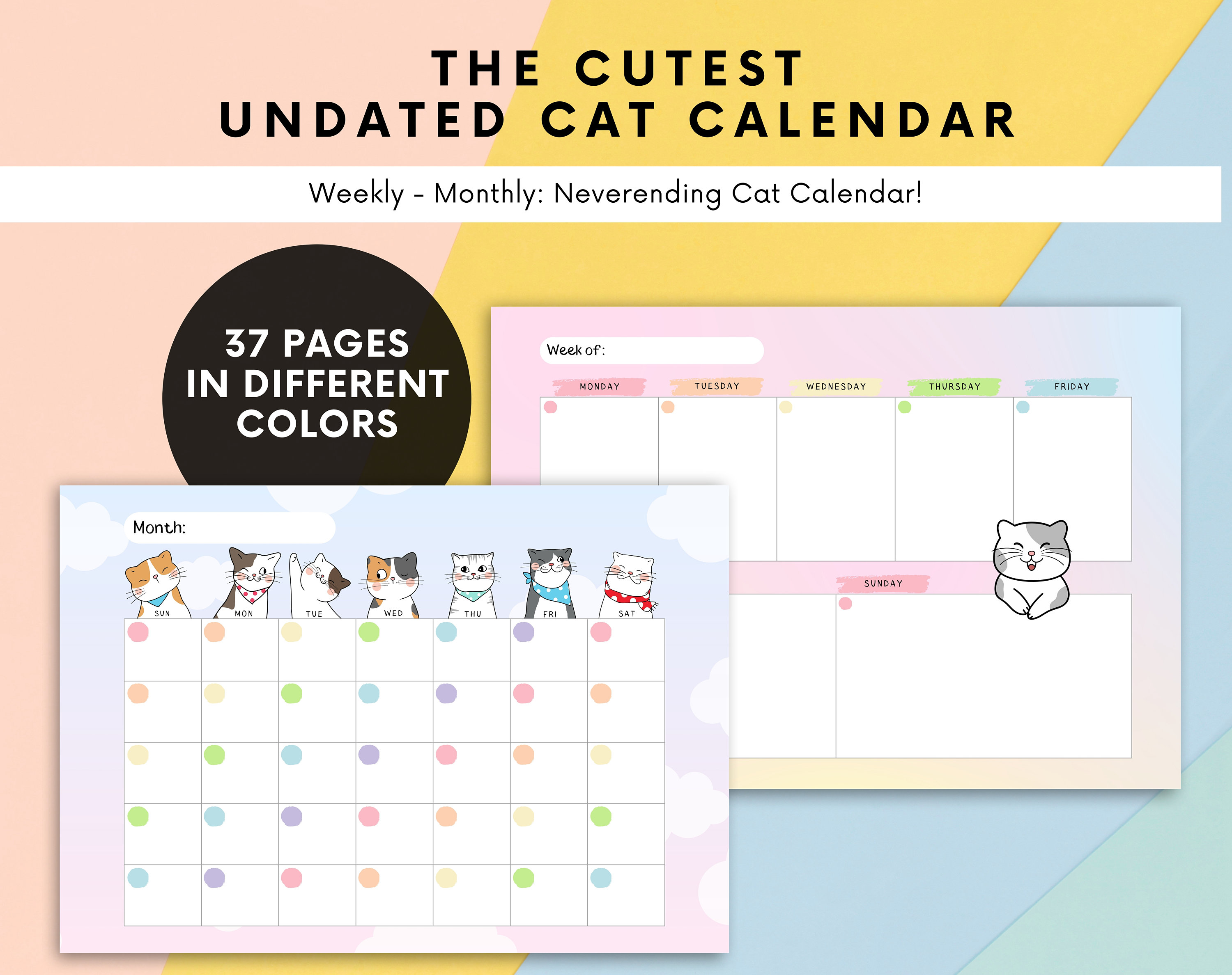 Desk Calendar Cat Calendar 2024 Kawaii Cat Gift for Cat Lovers Cat ...