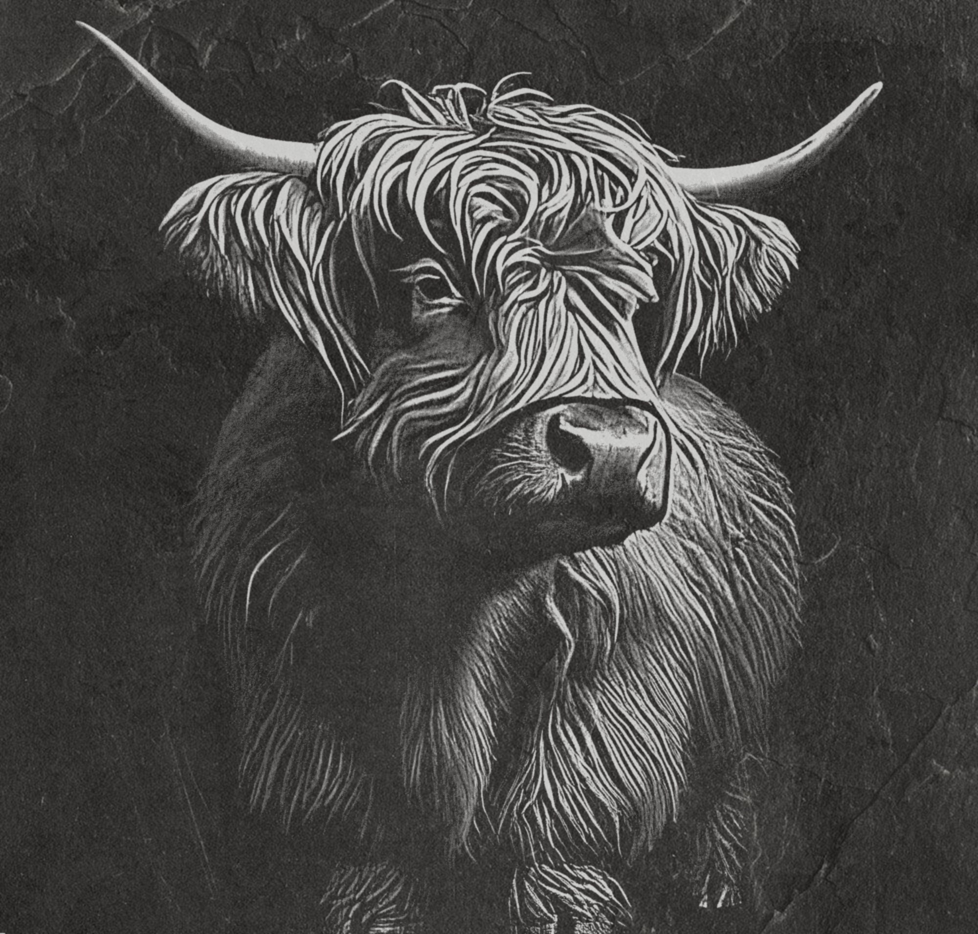 Highland Cow, Slate Coaster Ready, Laser Ready, Laser Engraving, PNG ...