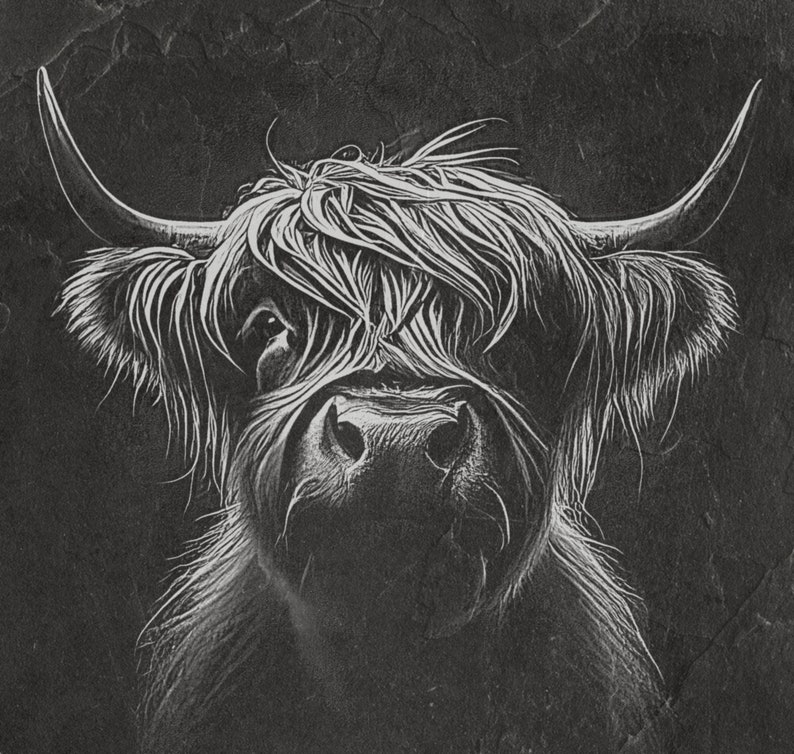 Highland Cow, Slate Coaster Ready, Laser Ready, Laser Engraving, PNG ...