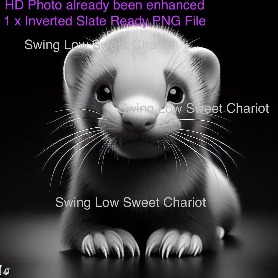 Baby Ferret Laser Engraving File, Slate & Wood (PNG) - Etsy