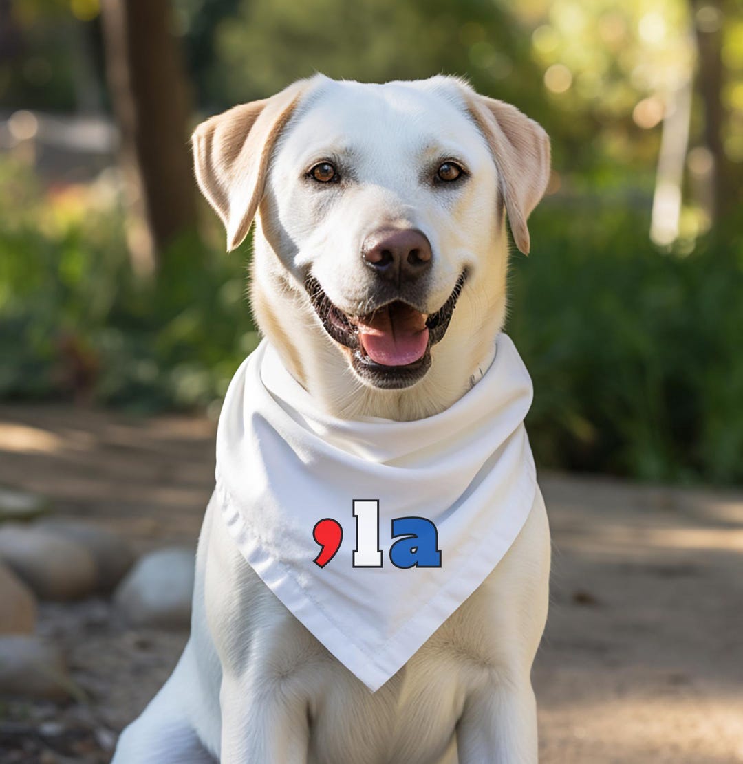 Kamala ,la Vote for Kamala Harris for President Pet Bandana, Political ...