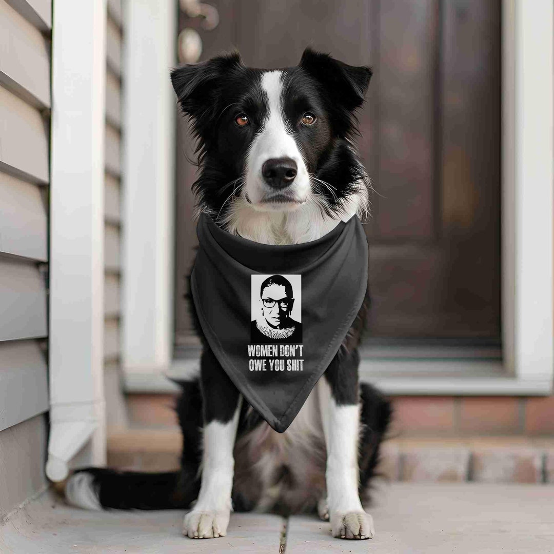 Women Don't Owe You S*** Ruth Bader Ginsburg Pet Bandana, Feminist Dog ...