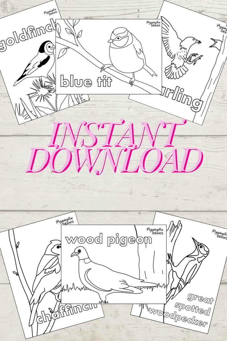 British Garden Birds Colouring Pages | Bird Spotter | EYFS - Home ...