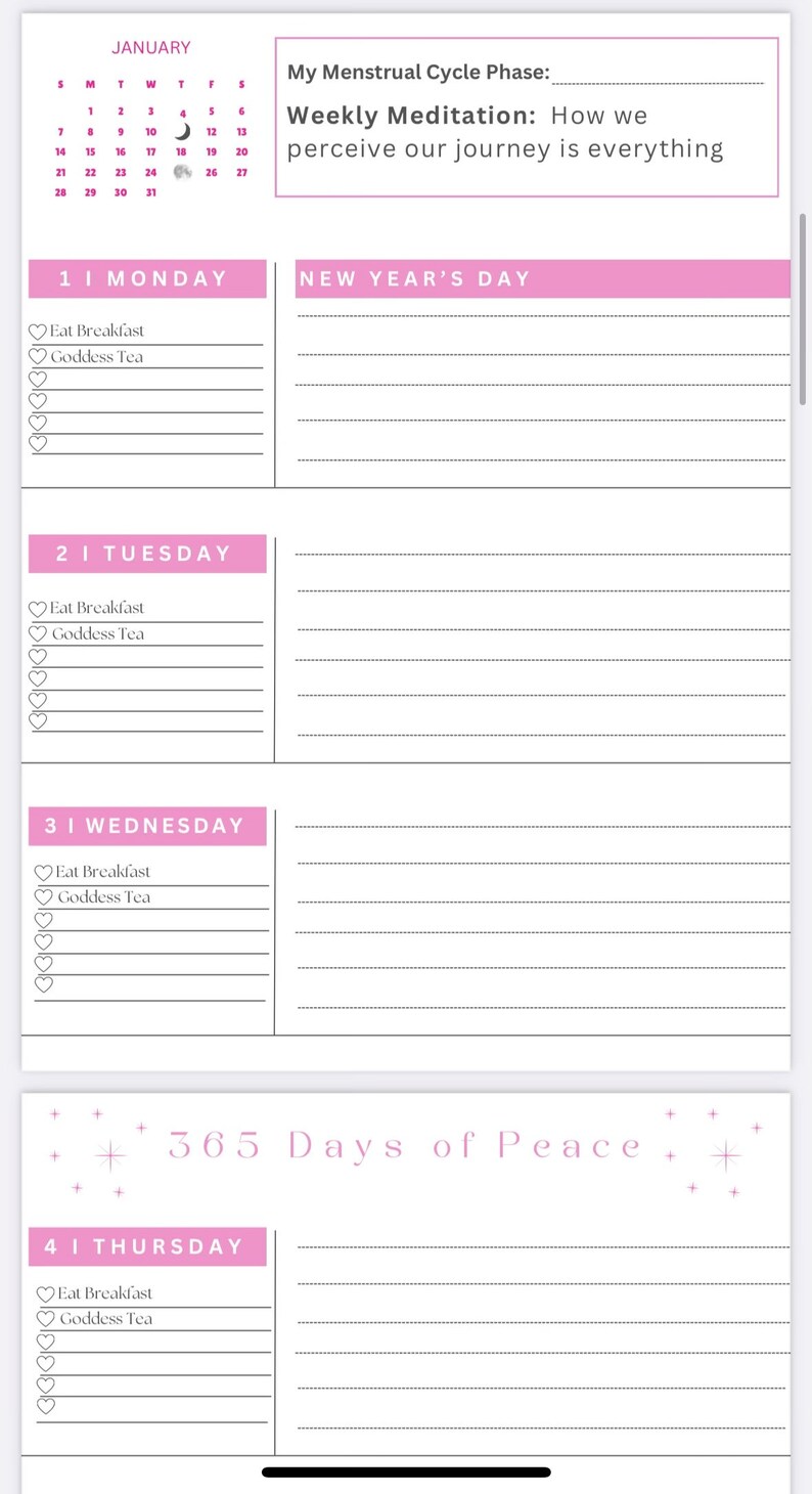 365 Days of Peace : 2024 Hormone Syncing Planner - Etsy