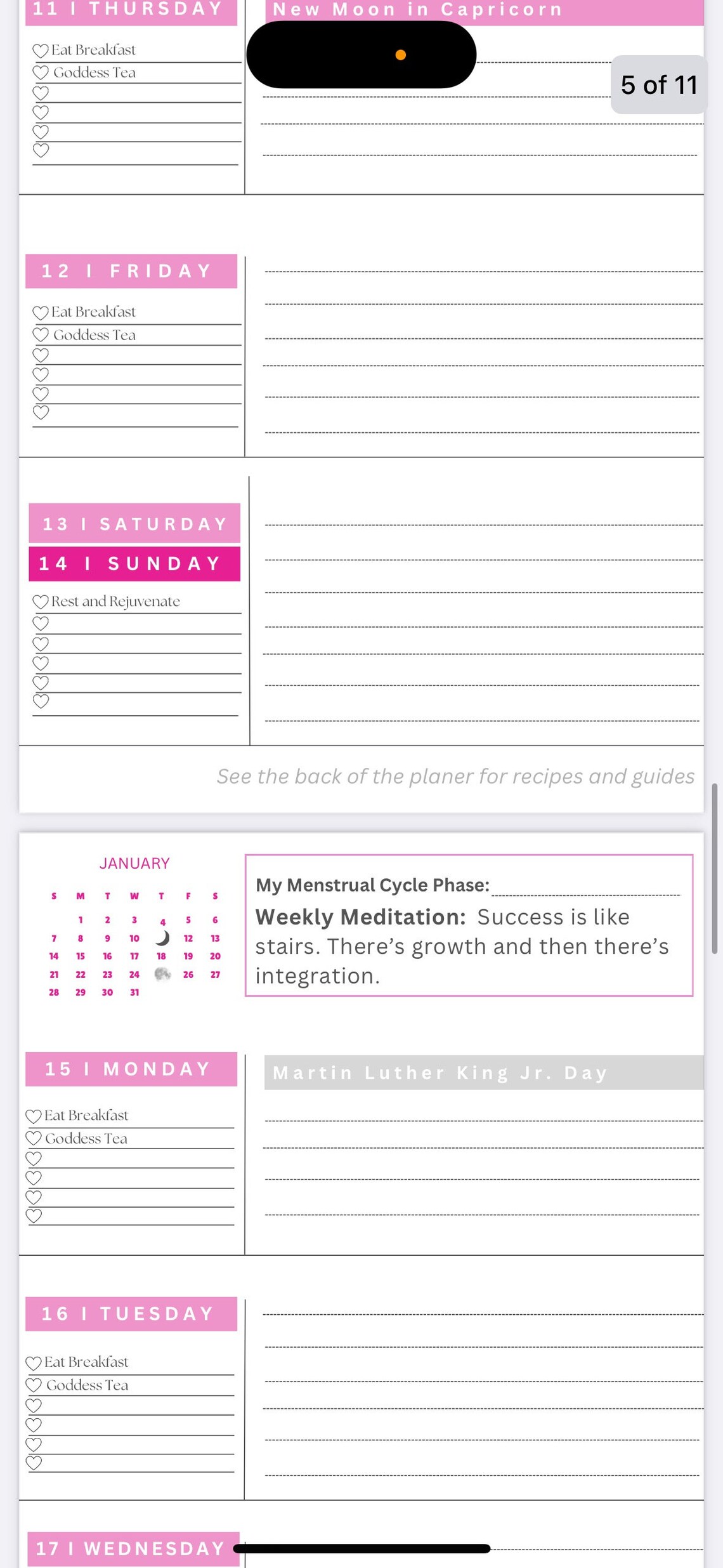 365 Days of Peace : 2024 Hormone Syncing Planner - Etsy