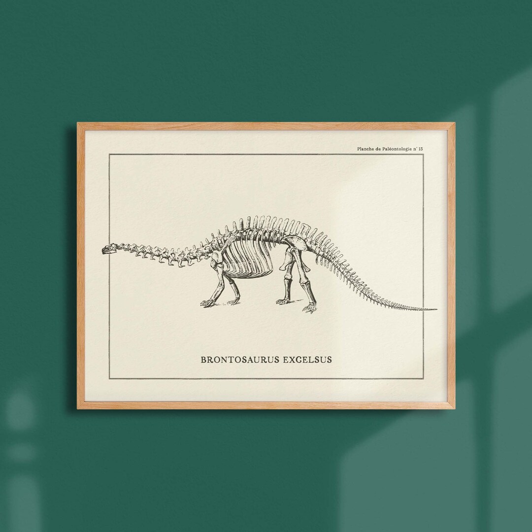 Dinosaur Poster Brontosaurus Skeleton - Etsy