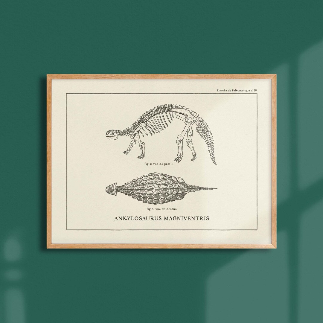Dinosaur Poster Ankylosaurus Skeleton - Etsy