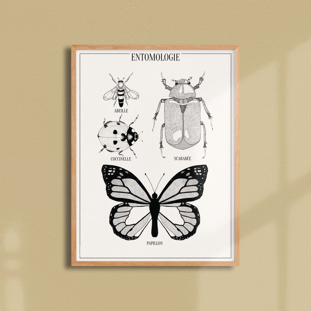 Workshop Posterdazat Entomology - Etsy