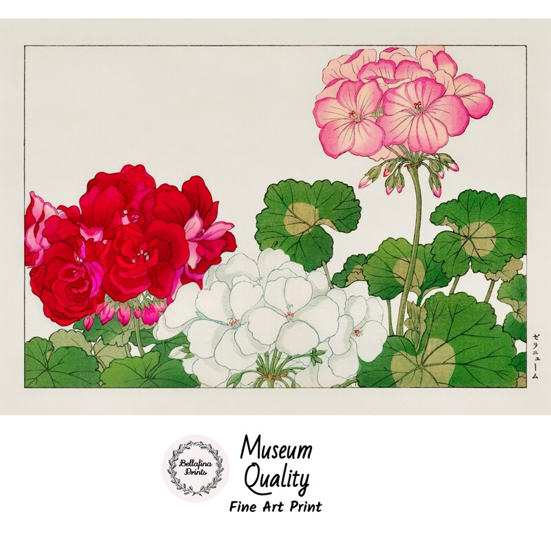 Geranium Print - Etsy