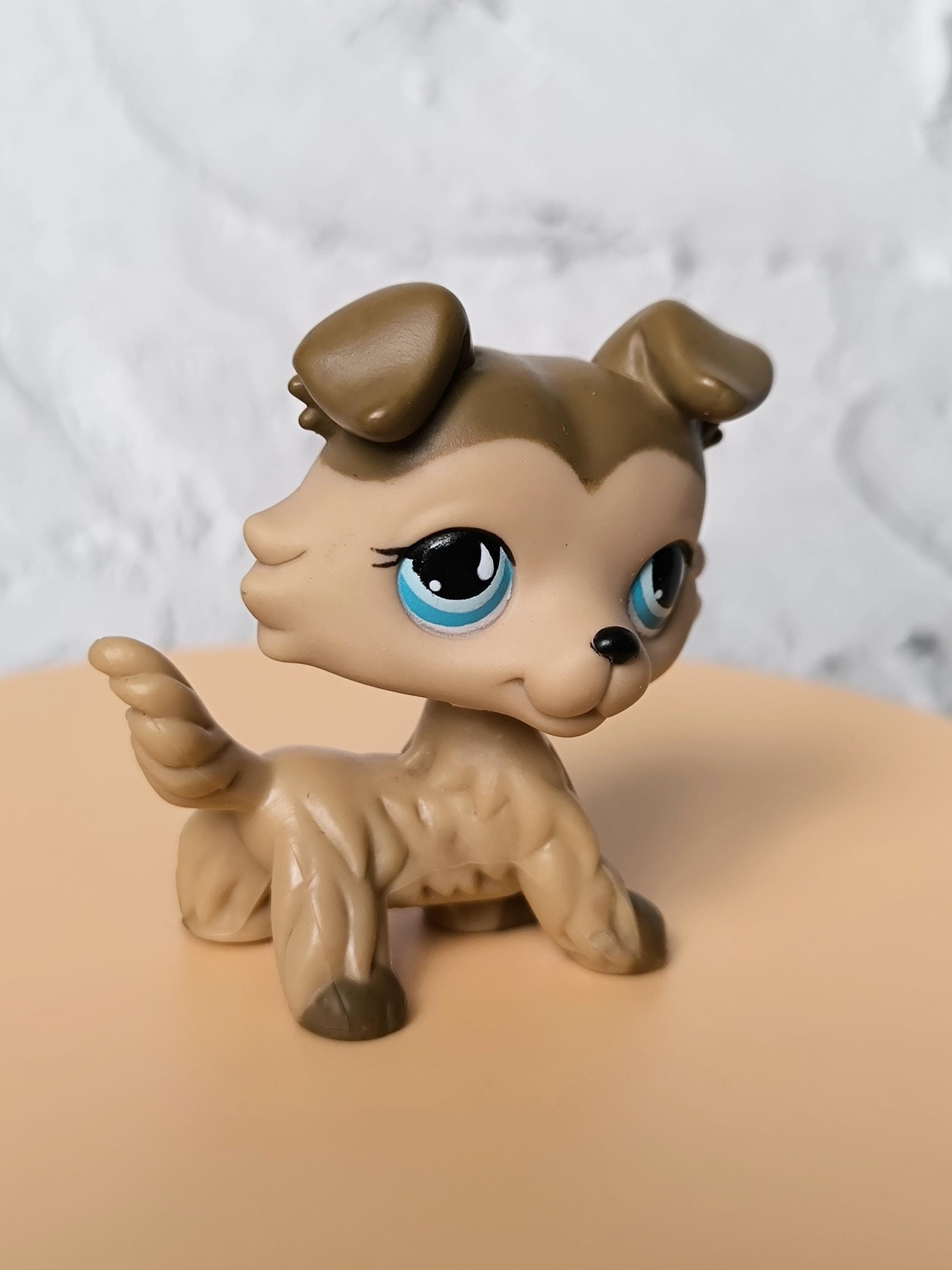 Littlest Pet Shop Collie 893, Authentic Pet Figurine, Collie Europe ...