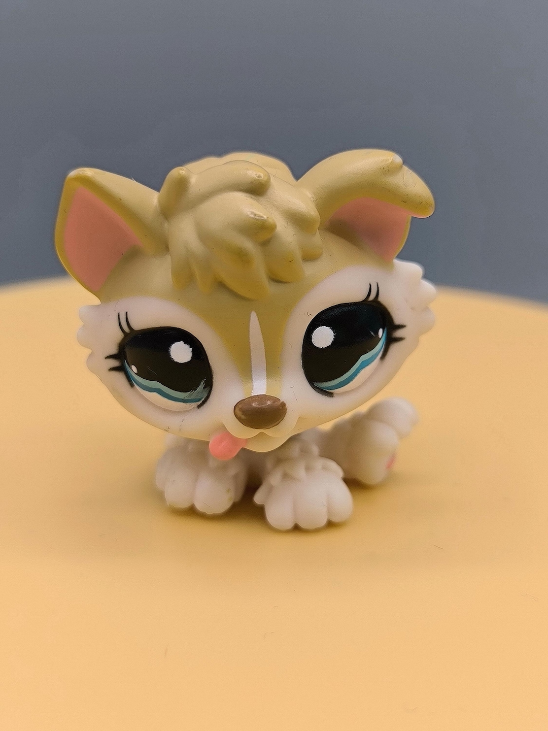 Littlest Pet Shop Husky Puppy #1013, Husky With Brown Eyes, Authentic ...