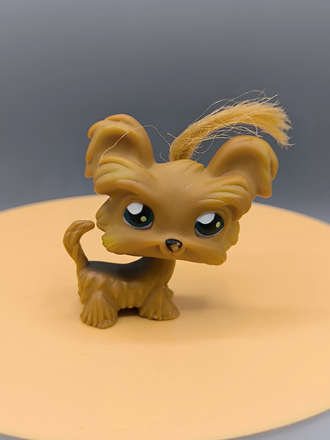 Littlest Pet Shop #6 Shih Tzu, Authentic LPS Pet Figurine, Brown Shih ...