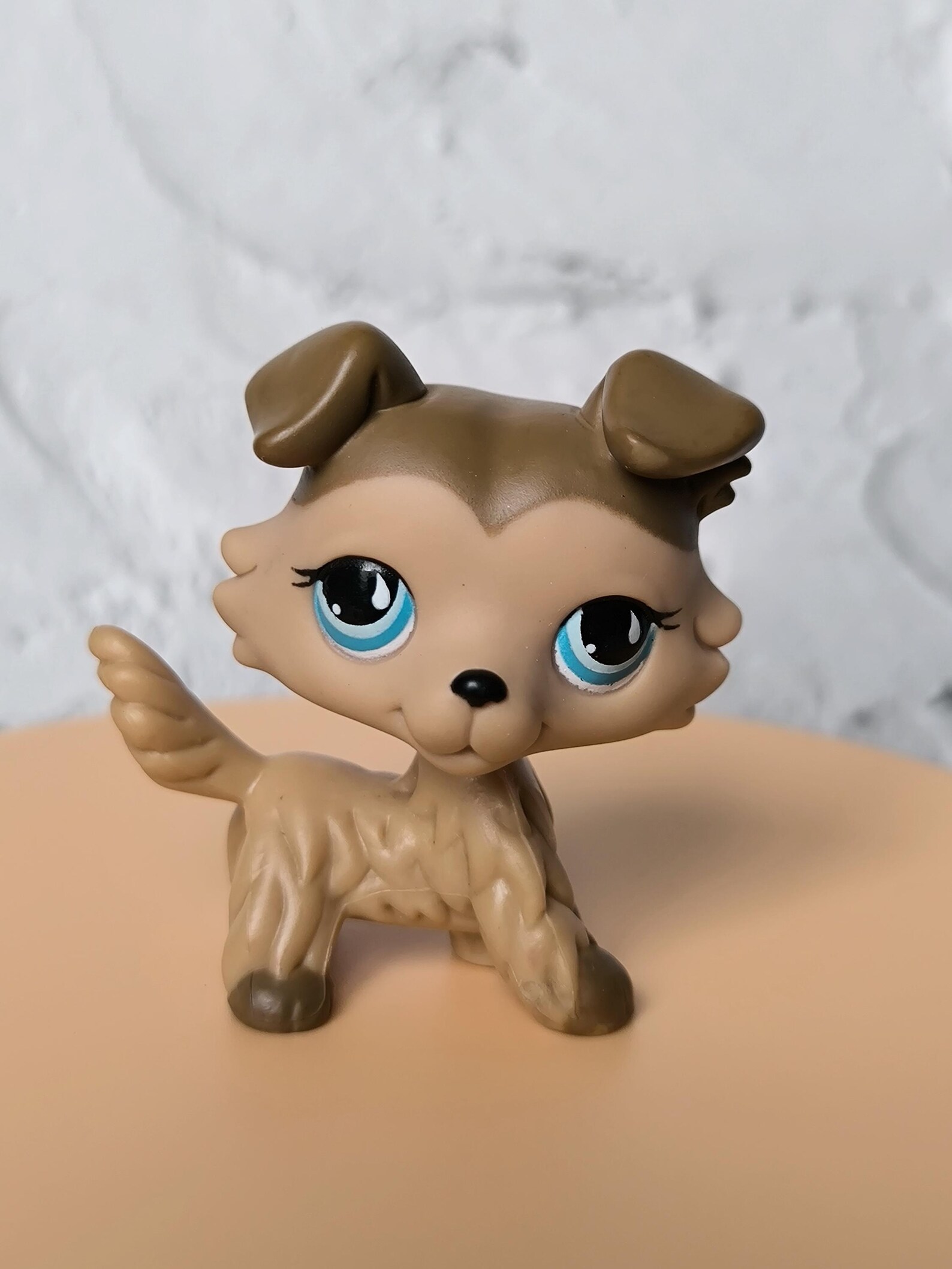 Littlest Pet Shop Collie 893, Authentic Pet Figurine, Collie Europe ...