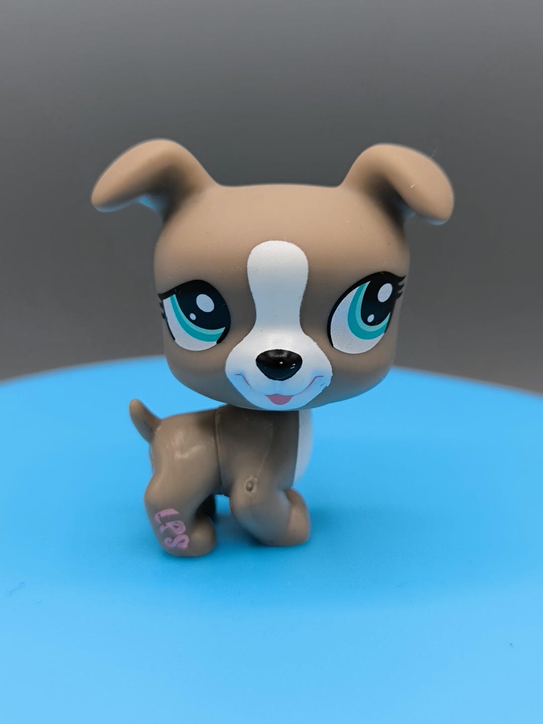 Littlest Pet Shop Boxer #1463, Authentic Pet Figurine, LPS Dog ...