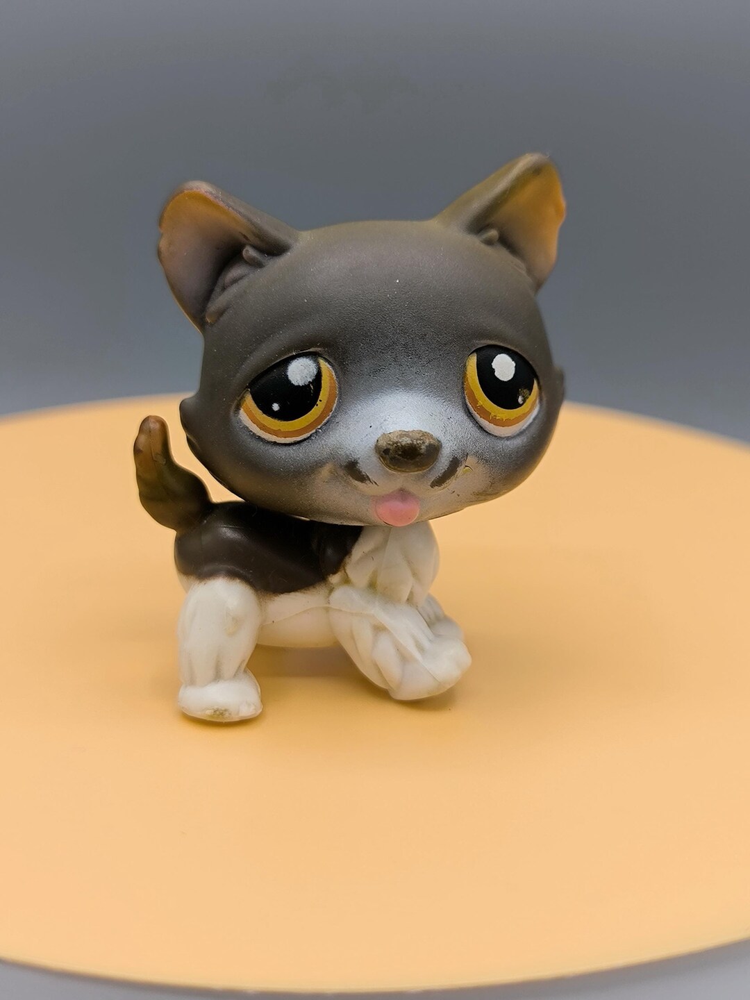 Littlest Pet Shop Husky #174, Dark Grey Husky With Light Brown Eyes ...