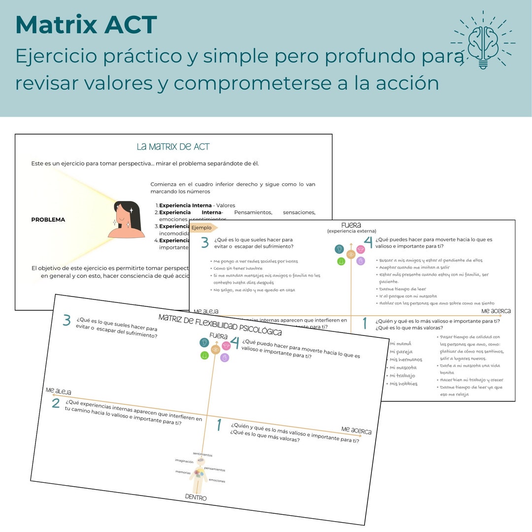 Matrix ACT Acceptance and Commitment Therapy Exercise Values - Etsy