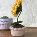 Sunflower Pot Crochet Pattern, Crochet Sunflower Pot Decoration ...