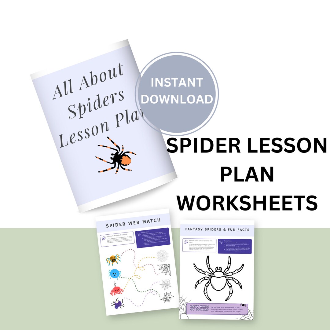 All About Spiders Lesson Plan INSTANT DOWNLOAD Teachers - Etsy
