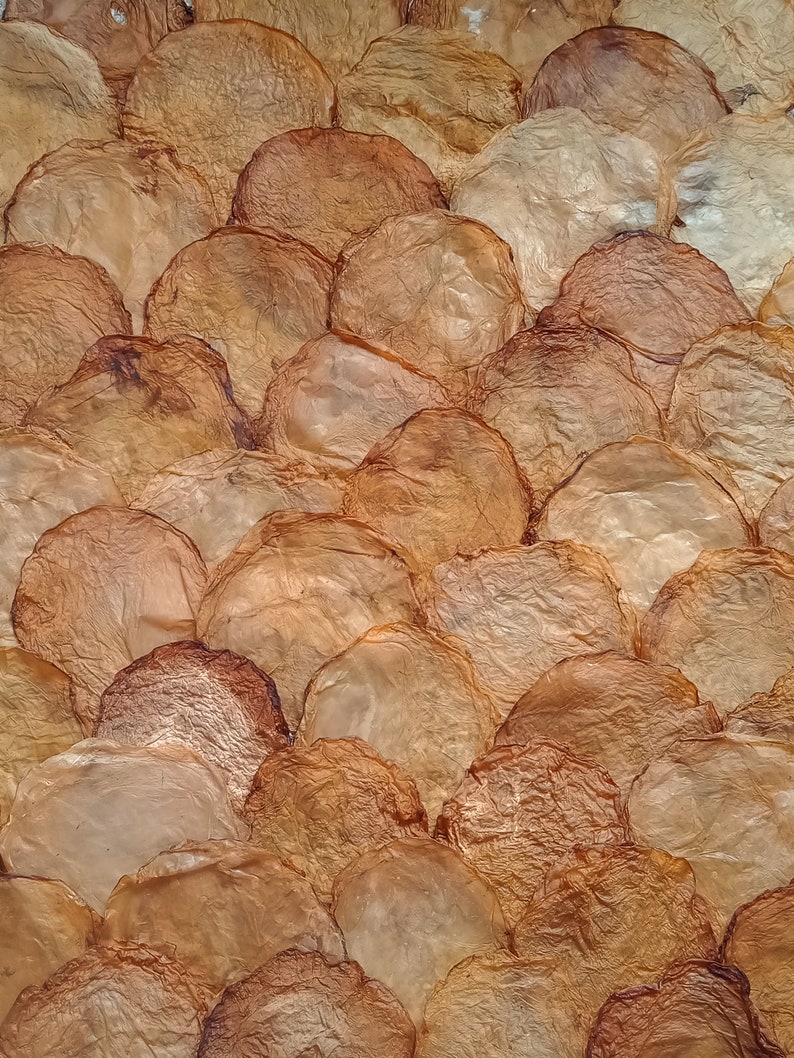 Kombucha Leather Dried Scoby for Your Creative Project - Vegan Friendly ...