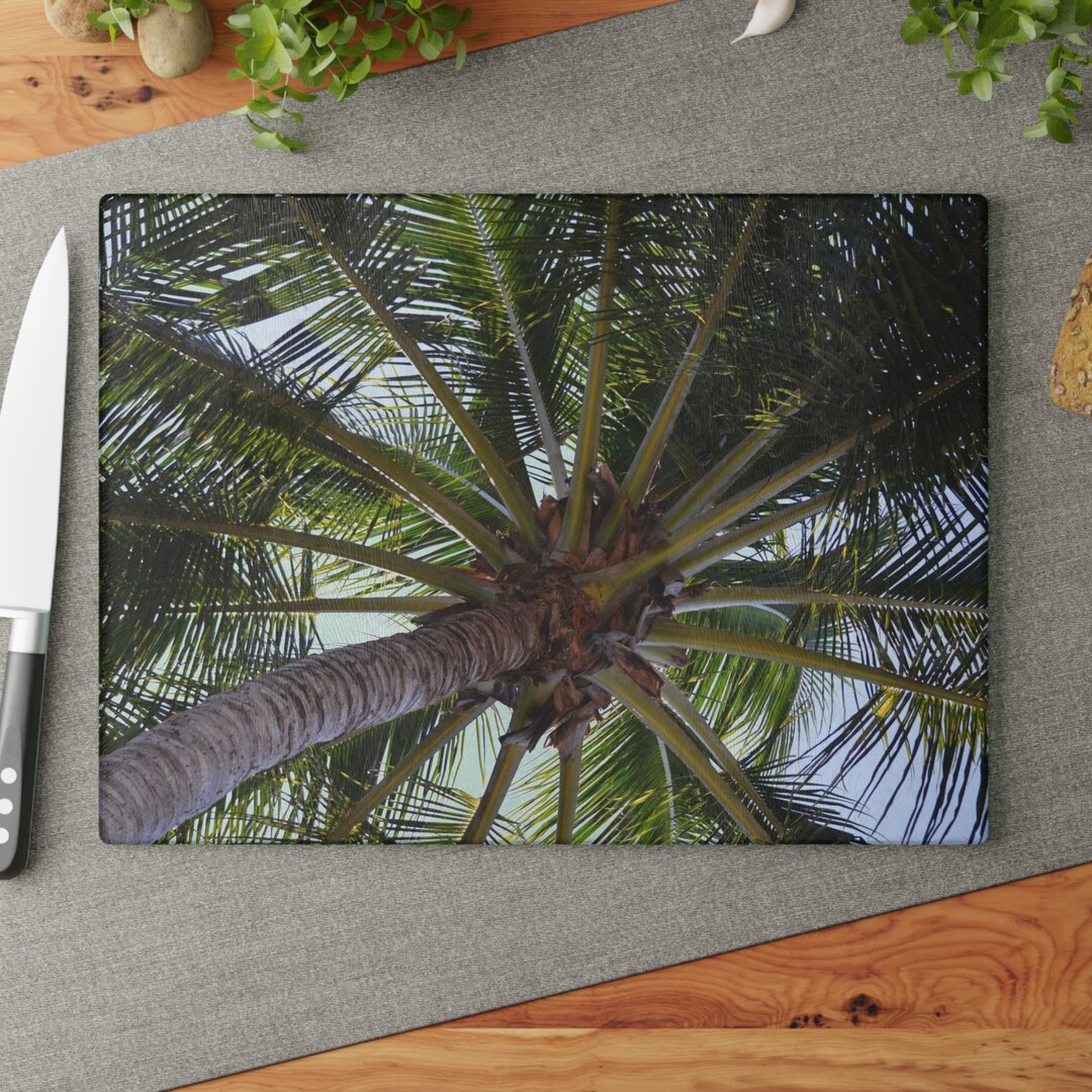 Glass Cutting Board With Undershot Photo of a Palm Tree Canopy - Etsy