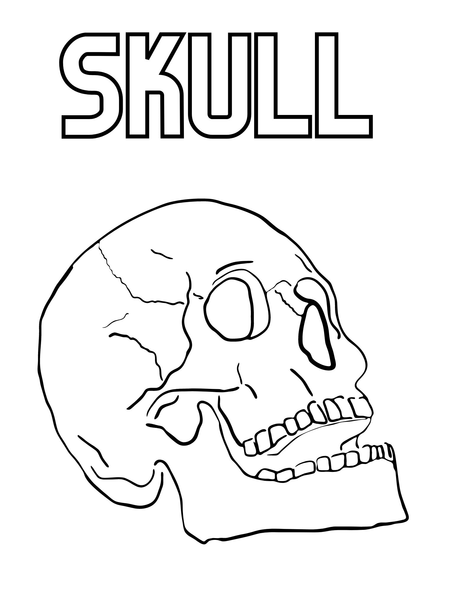 Human Body Coloring Pages Simple Designs Printable Bundle - Etsy