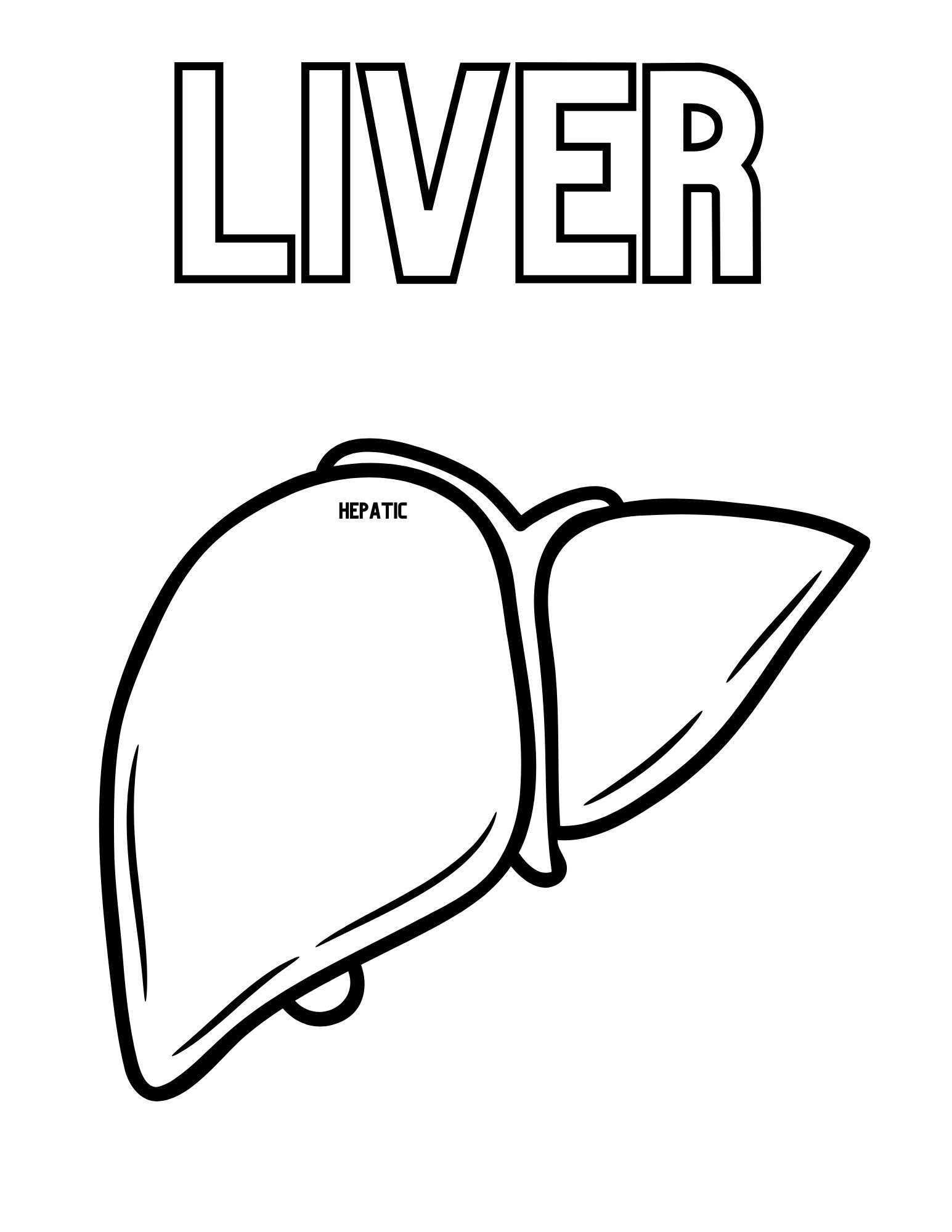 Human Body Coloring Pages Simple Designs Printable Bundle - Etsy