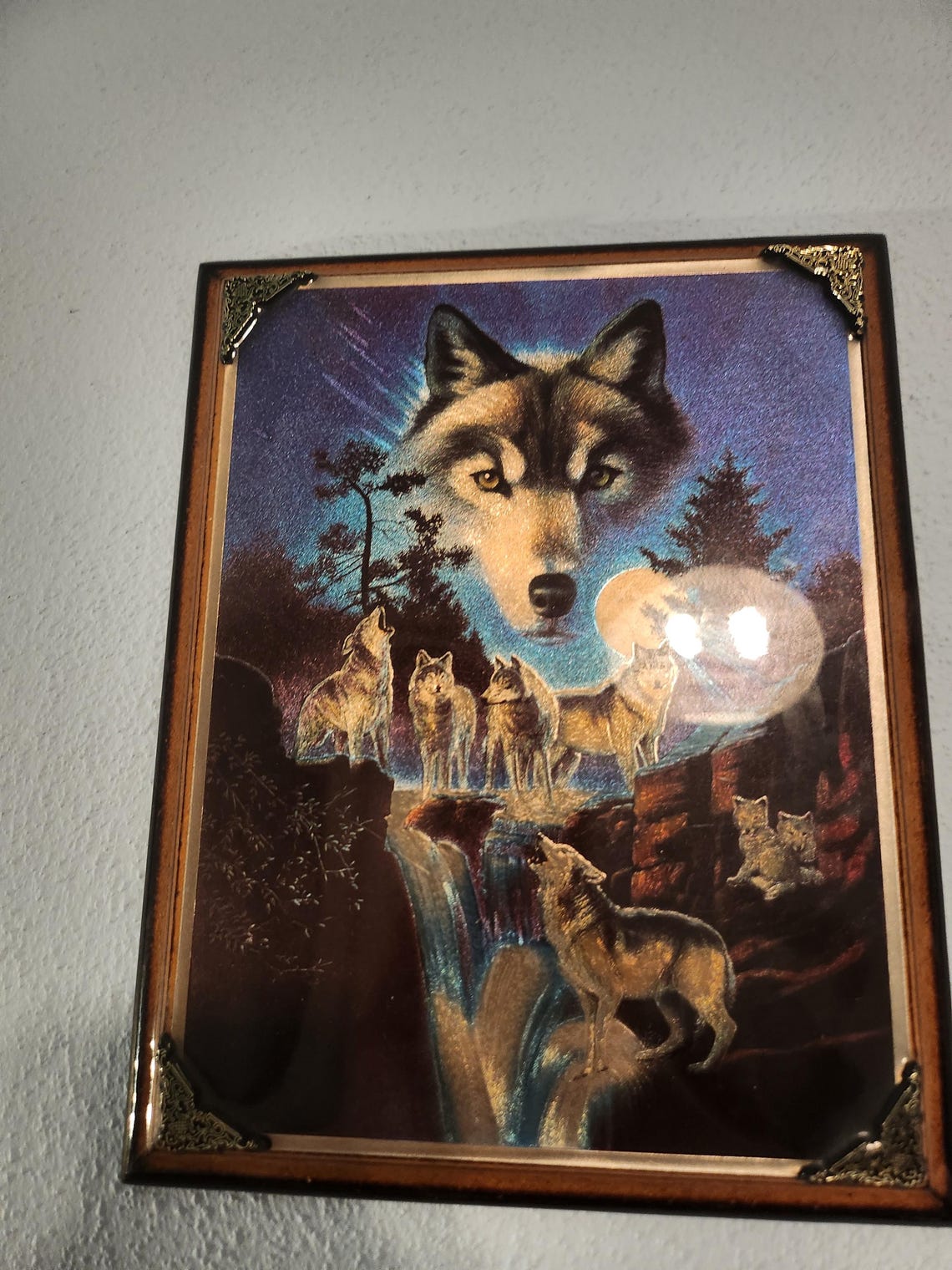 Dufex Wolves Picture - Etsy
