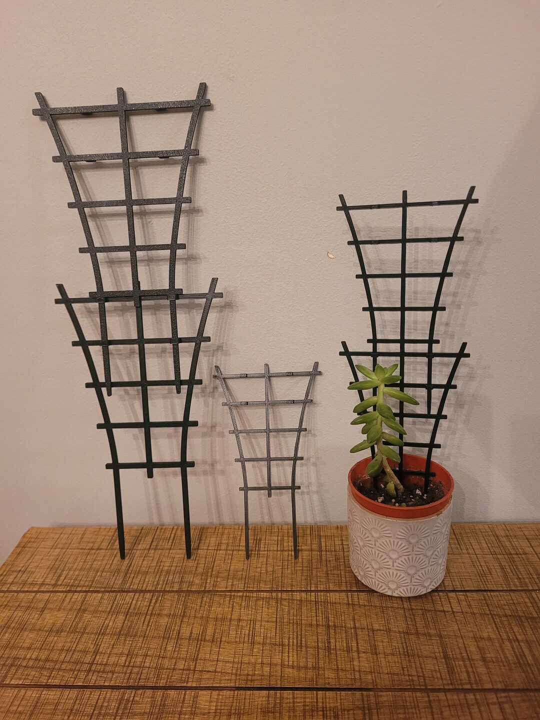 Indoor Plant / Succulent Trellis Support - Etsy
