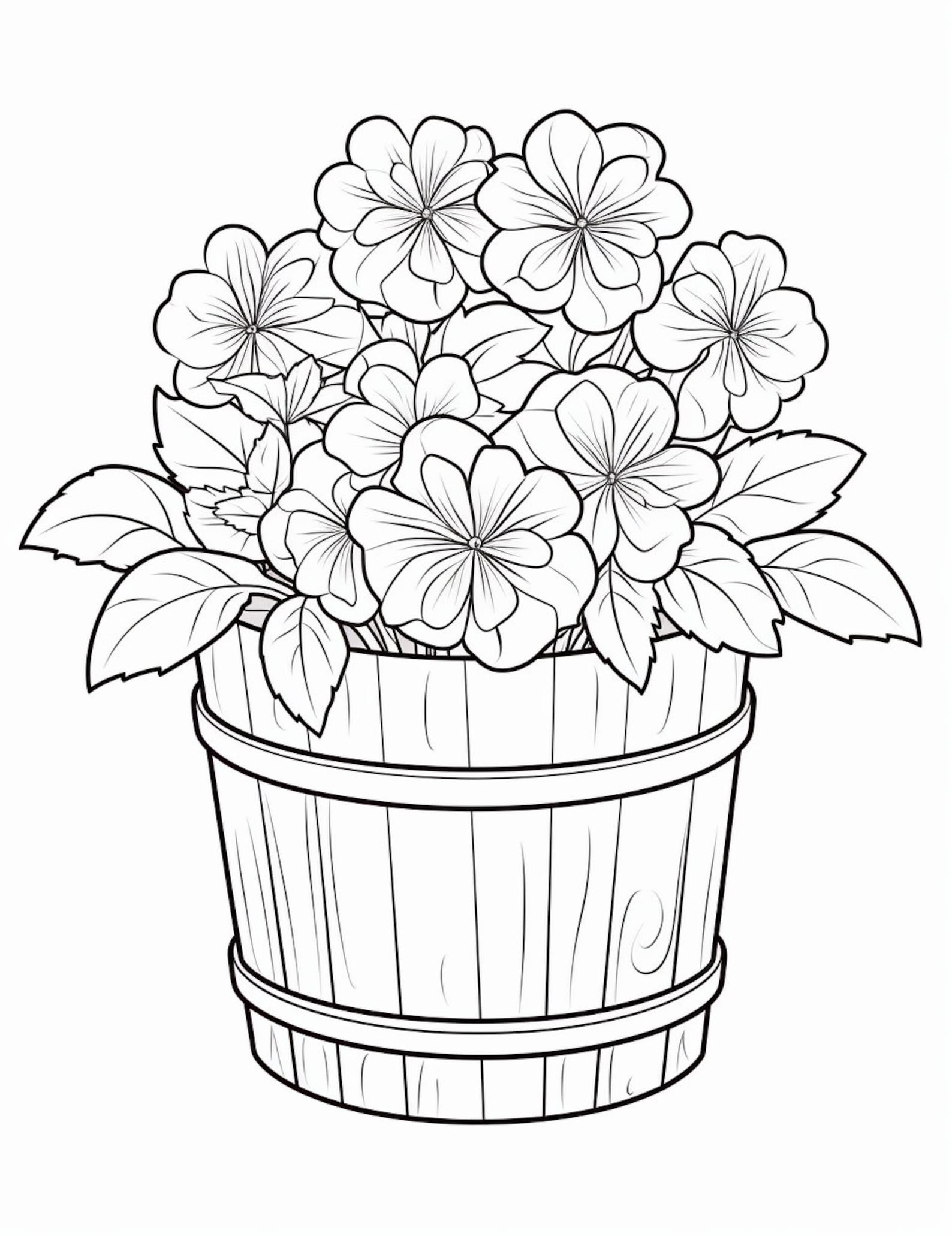 Plant Coloring Pages, Plant PNG, House Plant Coloring Pages, Plant ...